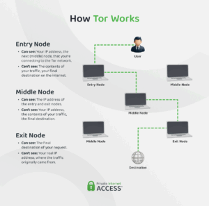 Tor vs. VPN: Which Is Better and When Should You Use Them?