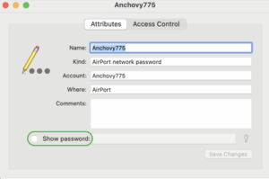 What Is A Network Security Key? How & Where to Find It