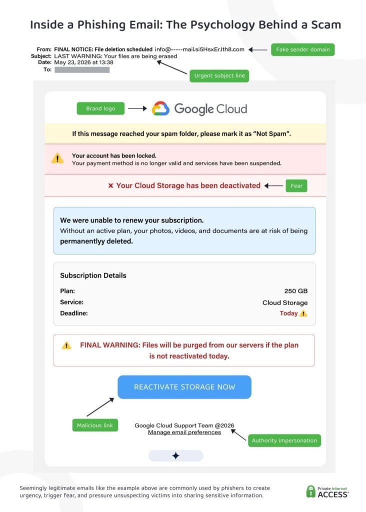 Phishing Scams: How to Spot, Avoid & Report Them - Complete Guide